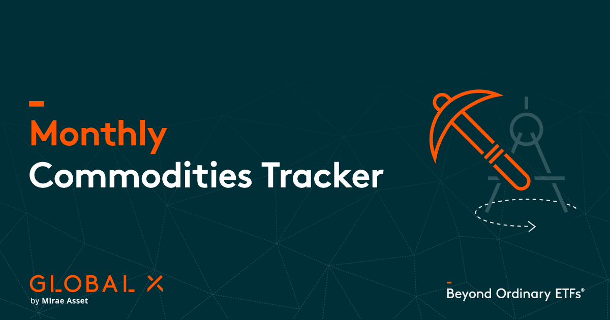 Monthly Commodities Tracker